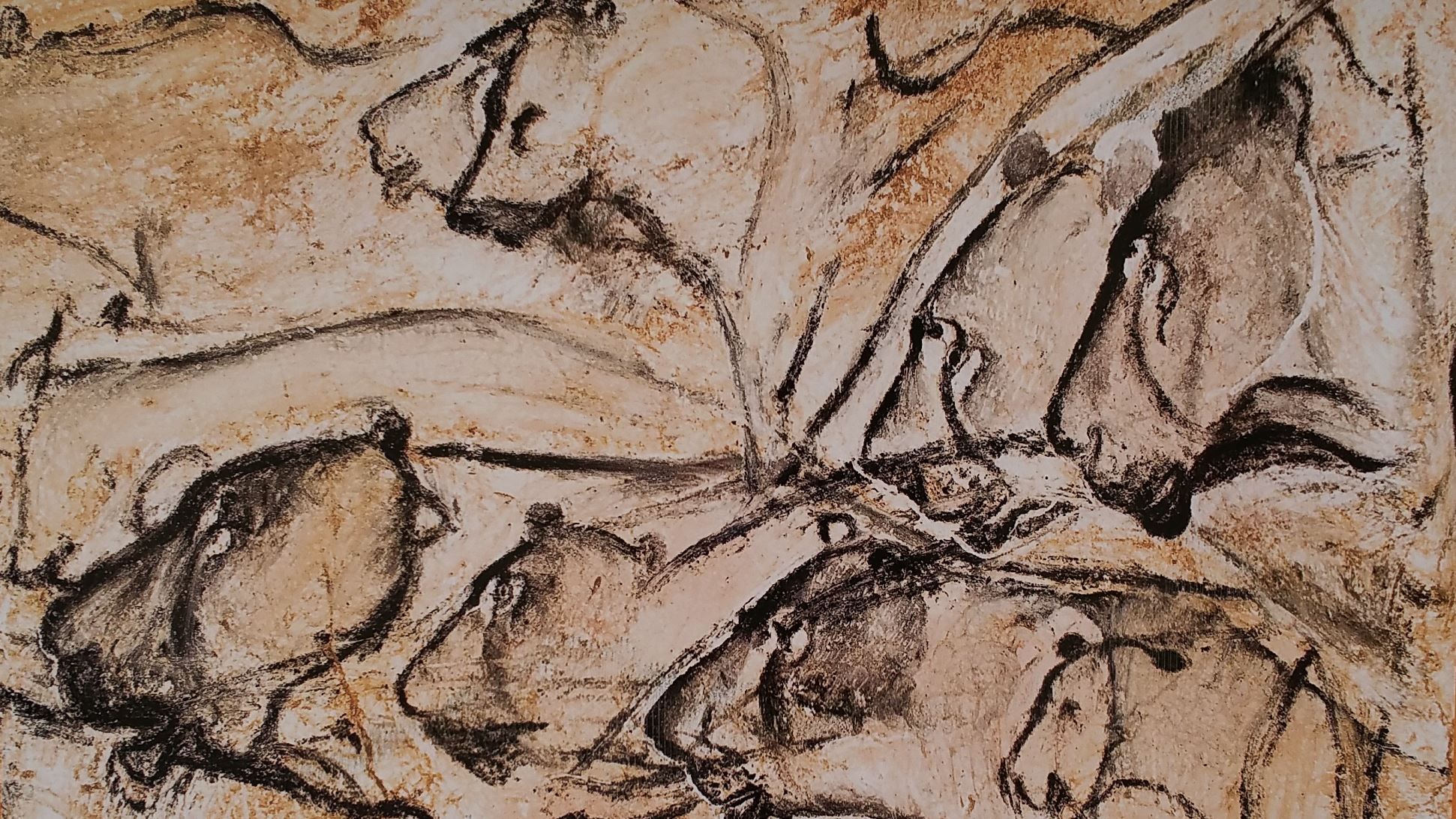 cave paintings pictures